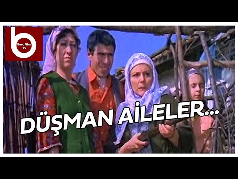 Düşmanlık Nereden Geliyor? | Deliye Her Gün Bayram