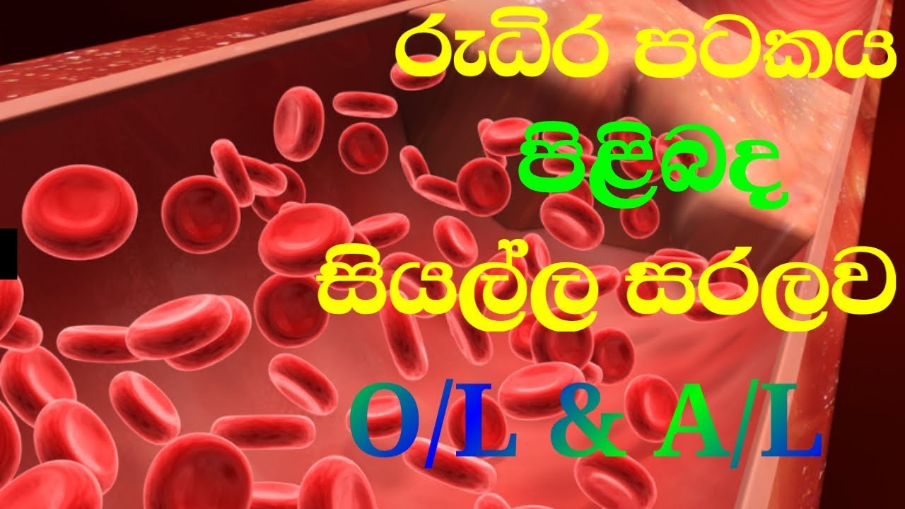 රුධිර පටකය / Blood / Blood test / රුධිරය පිළිබද සියල්ල සරලව / රුධිර රෝග ...