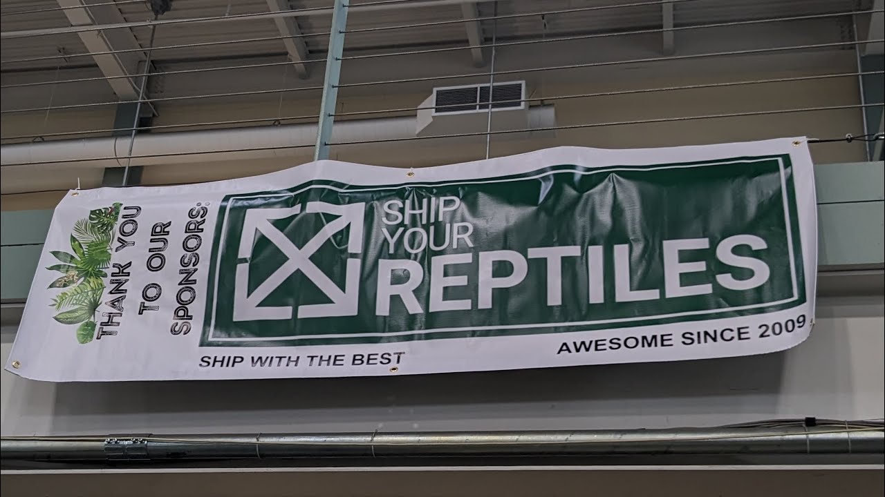 The Alaska Reptile Expo Was AMAZING - YouTube