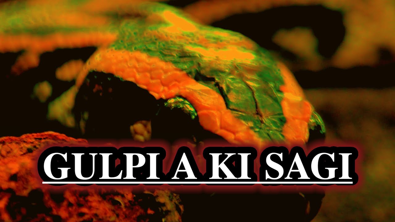 Gulpi A Ki Sagi - YouTube