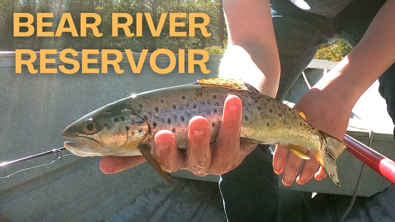 AWESOME Day of Trout Fishing During BLOOD MOON! | Bear River Reservoir ...