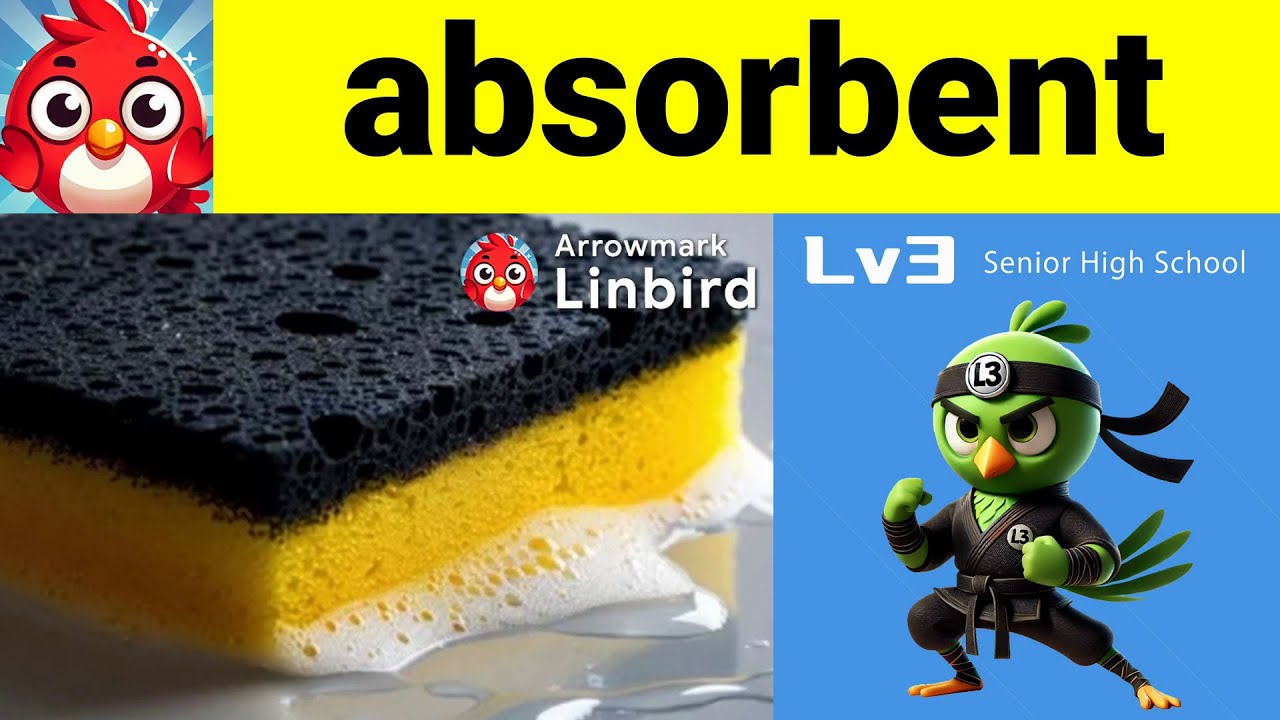 Absorbent: Meaning, Definition and Pronunciation in American & British ...