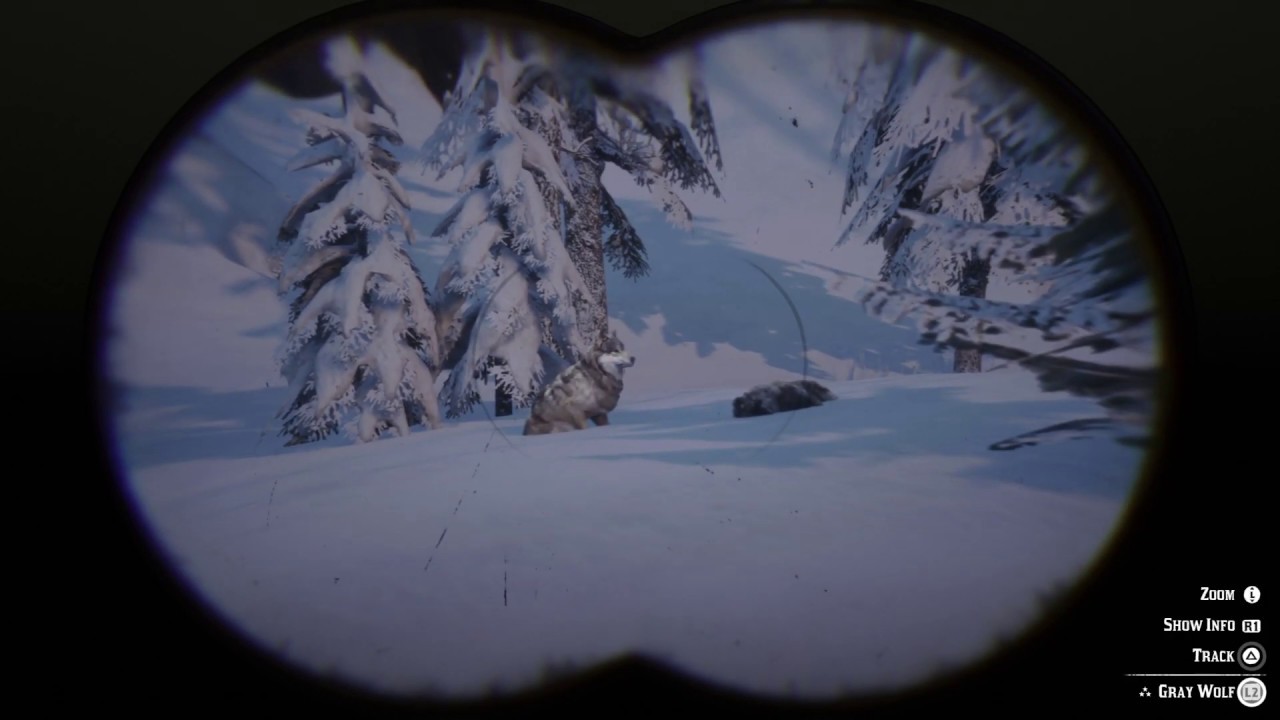 Red Dead Redemption 2 - Gray Wolf Howling - YouTube