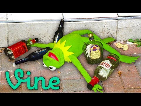 13 Drunk Kermit the Frog Memes that never made it to Vine | Kermit the ...