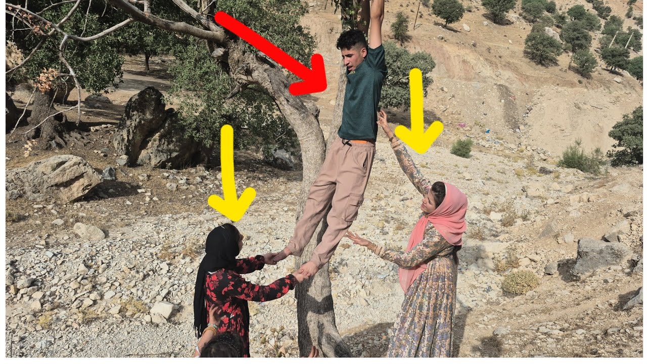 Entertainment: Mehrshad's scene on top of the tree - YouTube
