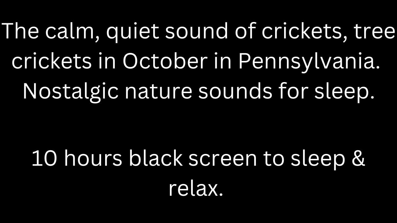The calm, quiet sound of crickets, tree crickets in October, black ...