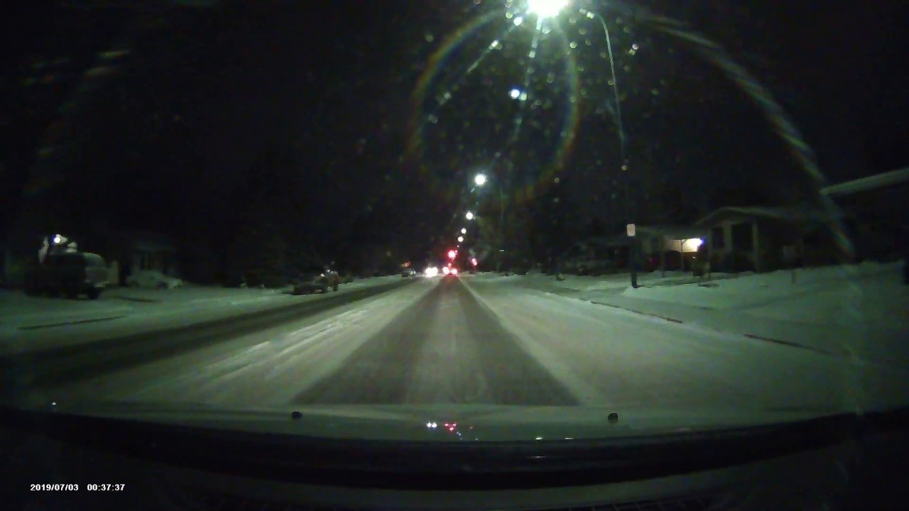 Deer in Lethbridge - YouTube