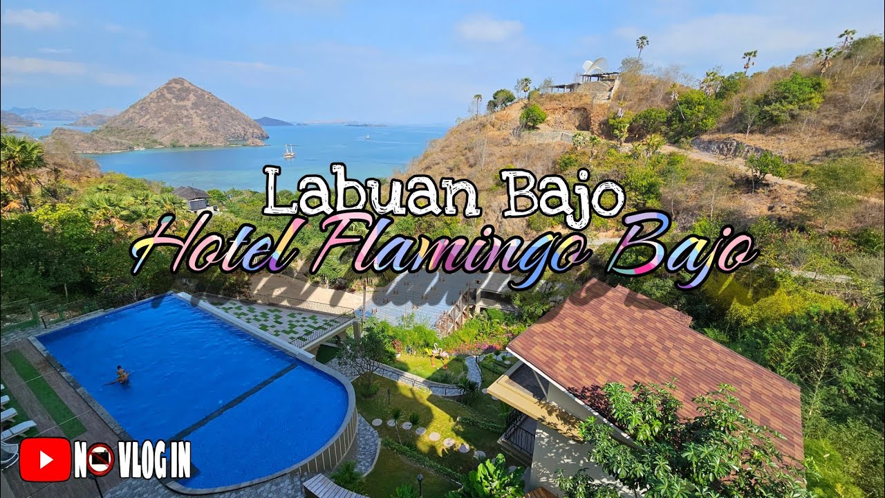 BISA BERENANG 24 JAM | FLAMINGO BAJO WAE CICU | LABUAN BAJO | # ...