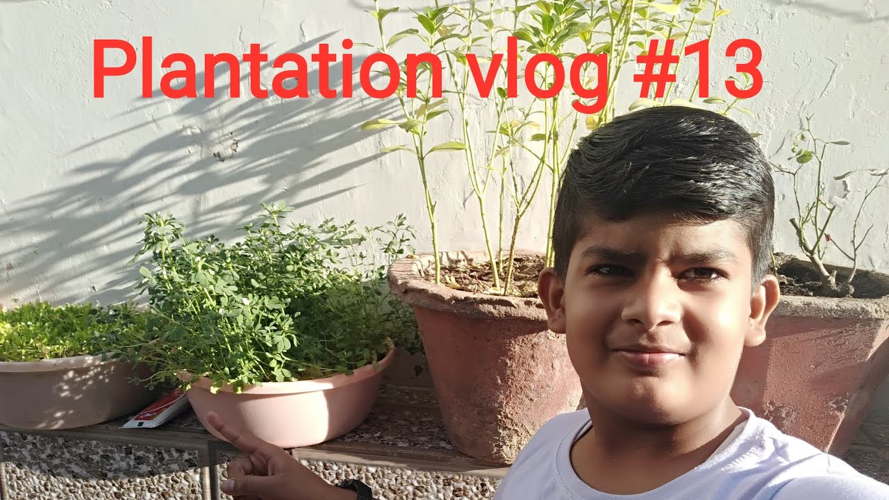Plantation vlog #13 AicOnDo VLoGs - YouTube