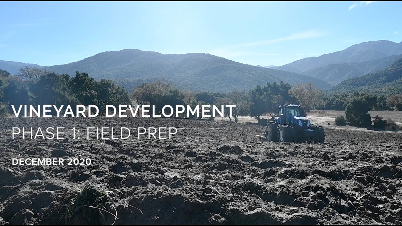 Vineyard Development Phase 1: Field Prep - YouTube