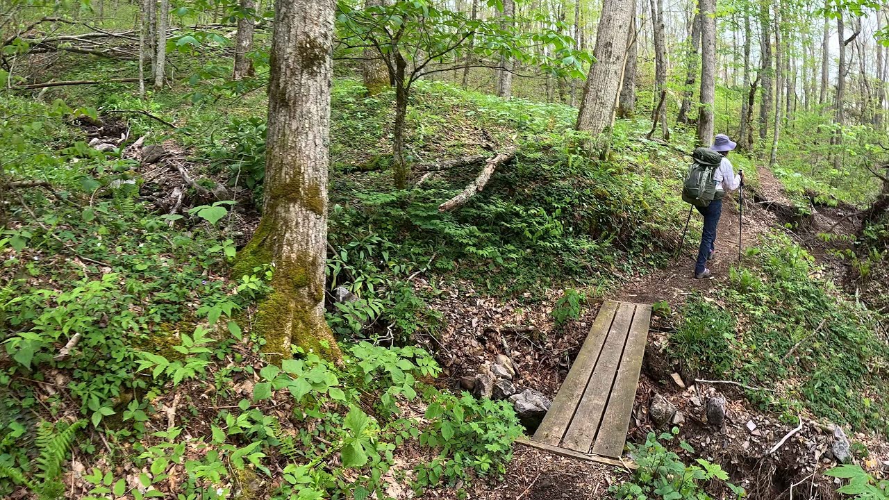 Mount Rogers National Recreation Area; Part 1 - Mount Rogers Trail ...