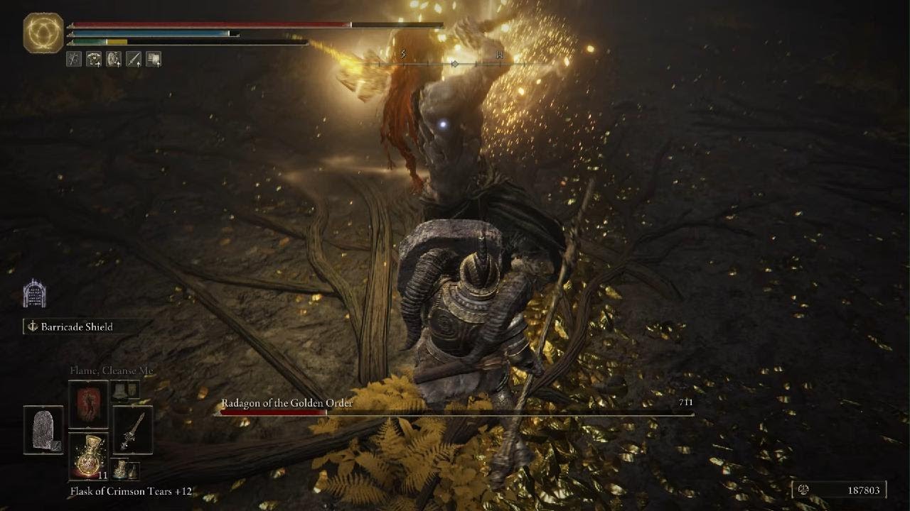 Elden Ring - [solo] Fingerprint Stone Shield vs Radagon / Elden Beast ...