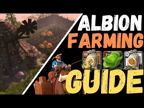 How To Build An Herb Garden Albion