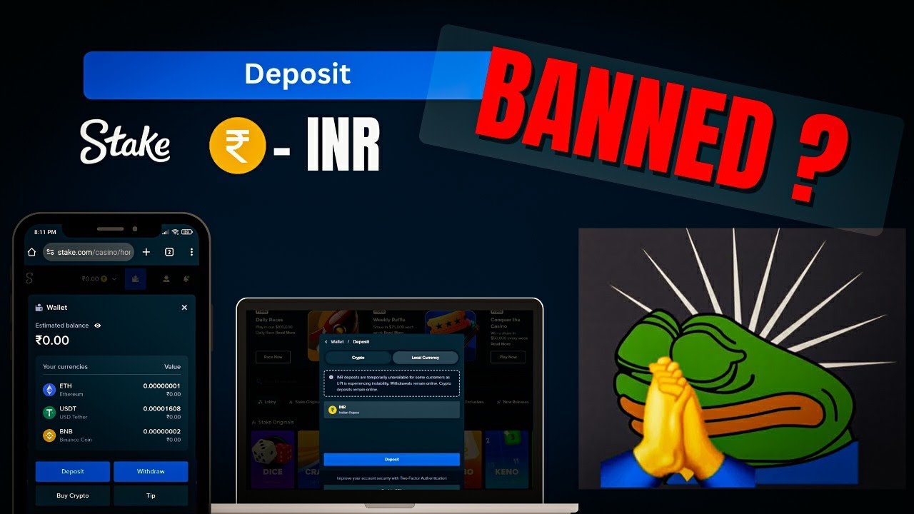 Is INR Deposit banned? |Stake INR Deposit Issue| INR Deposit| How to ...