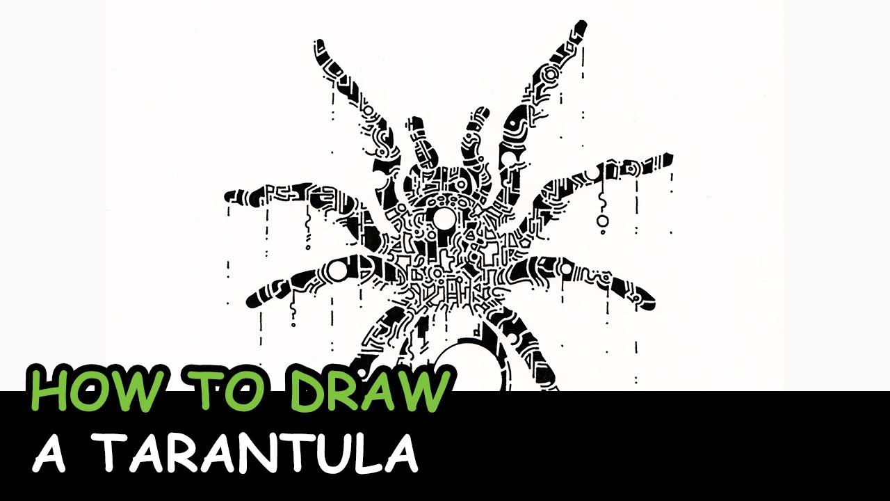 How to draw a Tarantula - YouTube