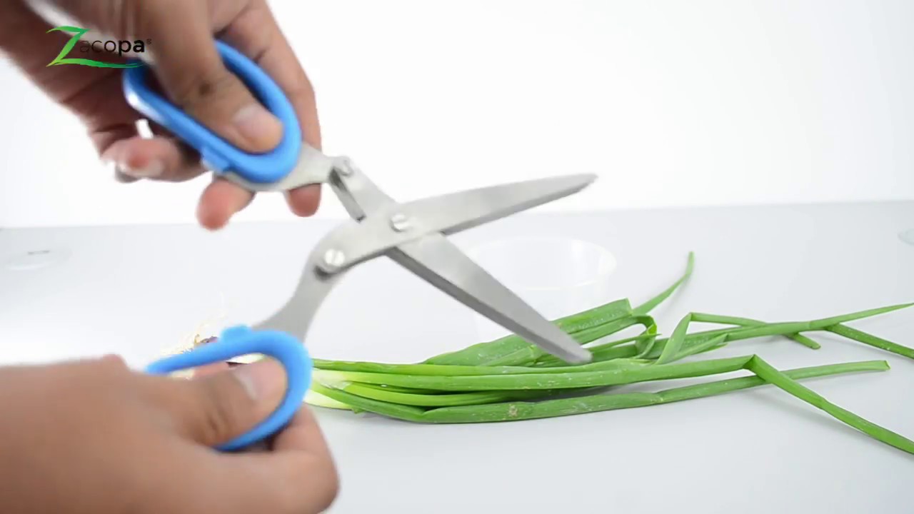 Multi-Purpose Kitchen Scissors & Garlic Press - YouTube
