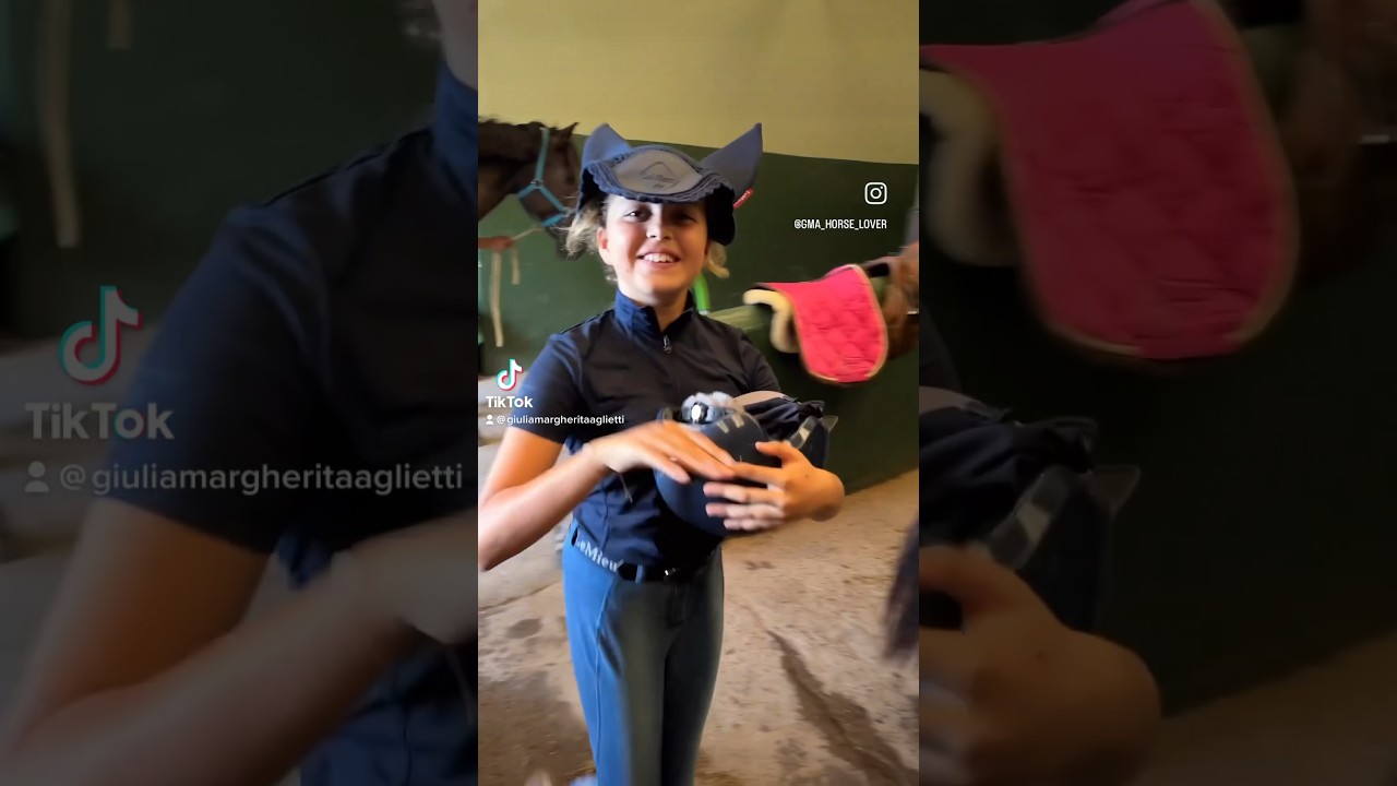 FUNNY HORSES - don’t be SAD because DAS not good - horse jumping, show ...