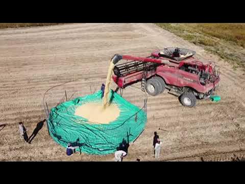 2023 - New Week, New Field - YouTube