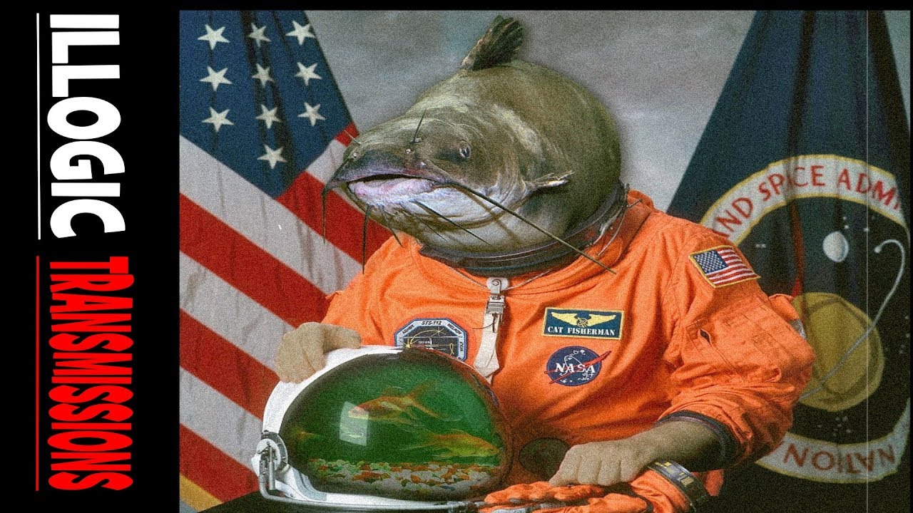 THE FISH PEOPLE - YouTube