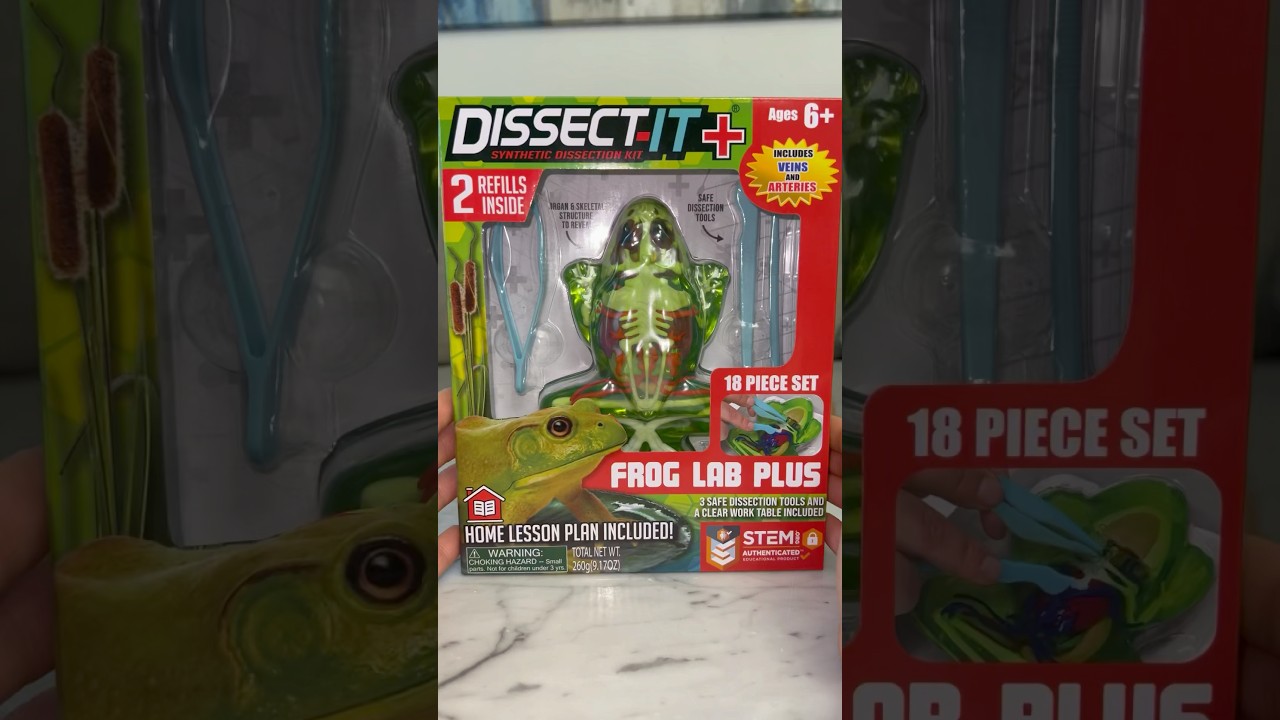 #shorts Dissect It! Frog Lab! #asmr #unboxing - YouTube