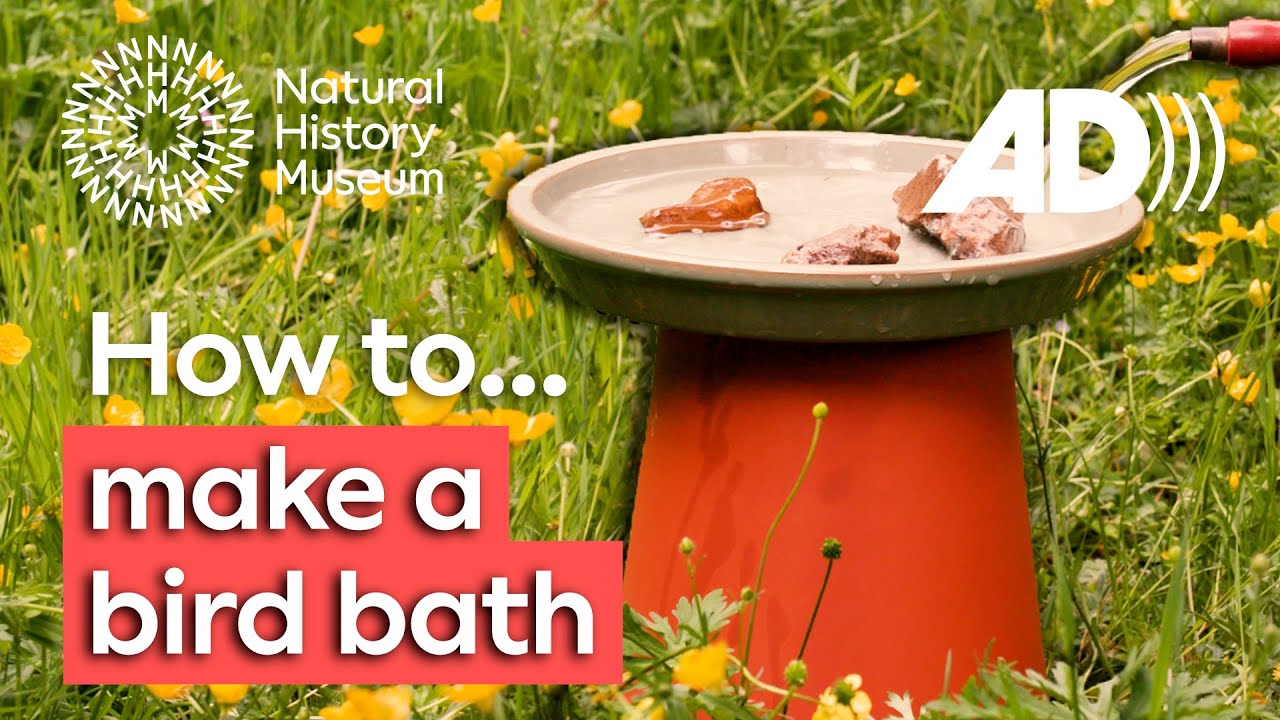 How to make a bird bath (Audio Described) - YouTube