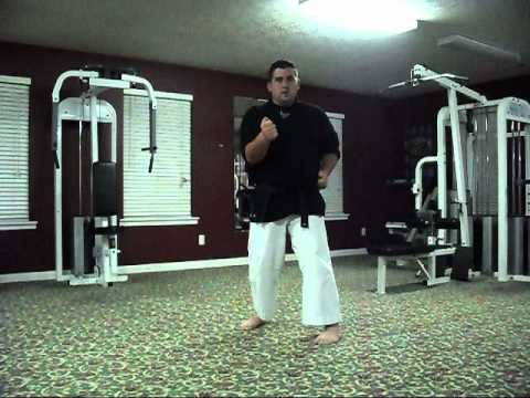 Isshinryu Karate Kihon Chart 1 - YouTube