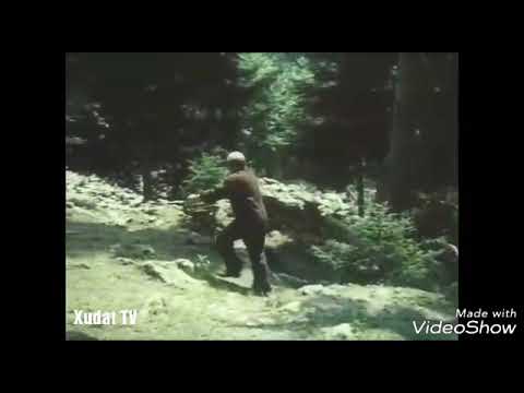 Anekdot azeri gurculer gobeleyi nece yoxlayirdilar