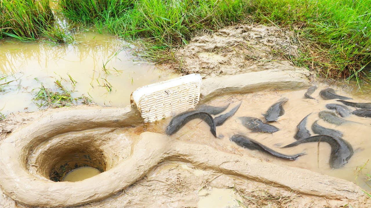 Make Simple Fish Trap For Catch A Lot Of Fish -Two Men Make Fish Trap ...