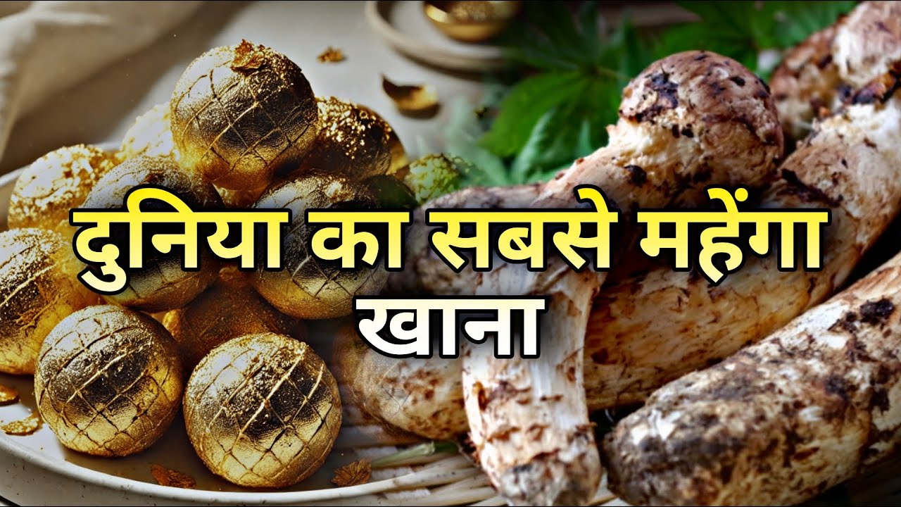 World’s Most Expensive Foods | Rare Delicacies | Luxury Dining | Food ...