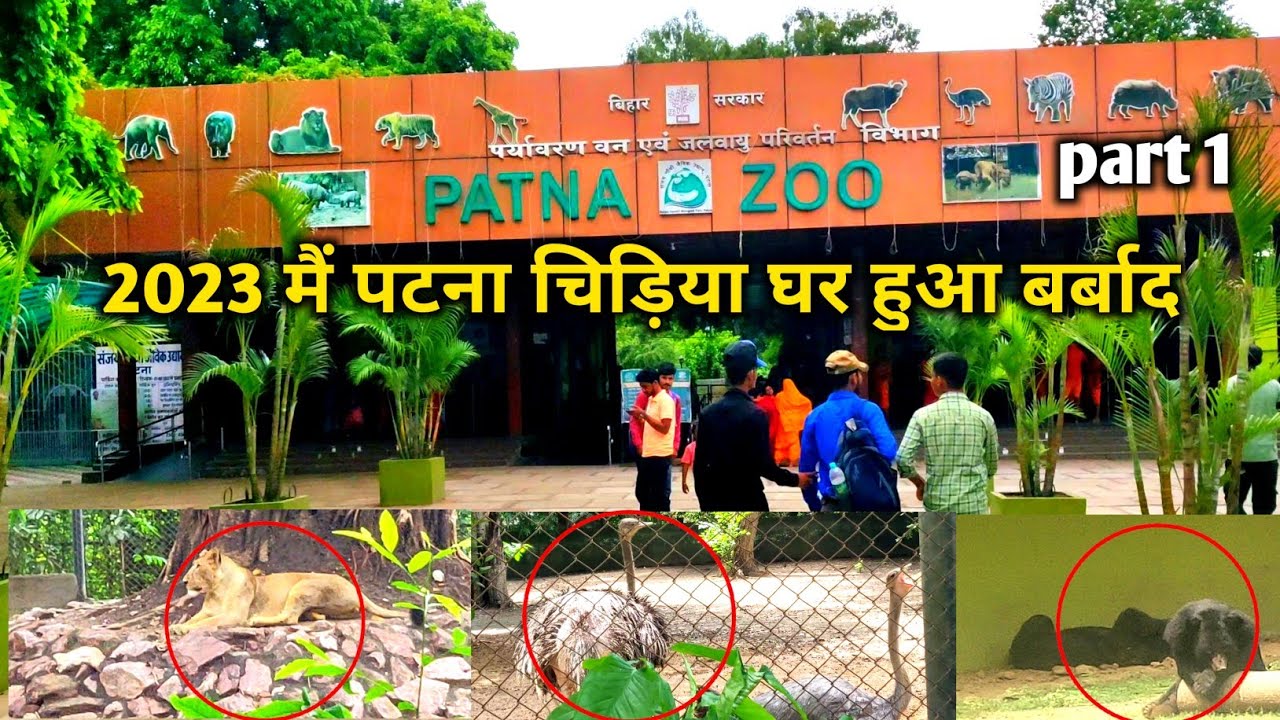 patna zoo || पटना चिड़िया घर में Russia || मुझे Russia चाहिए || पटना ...