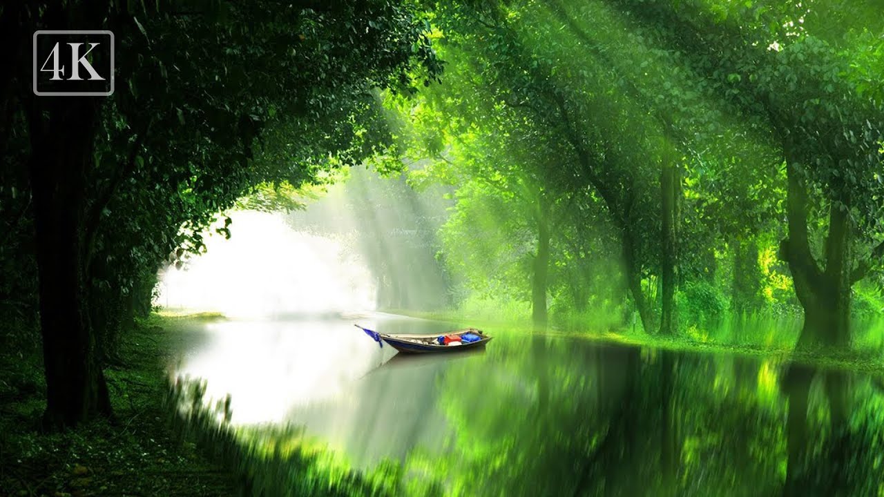 Guitar Music & Beautiful Scenery | 4K Ultra HD | Stop Overthinking ...