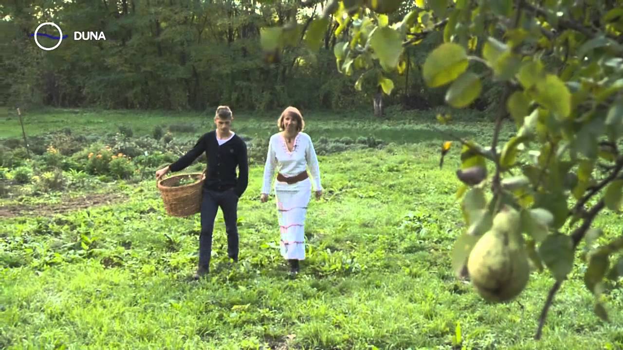 Csiki Emese - YouTube