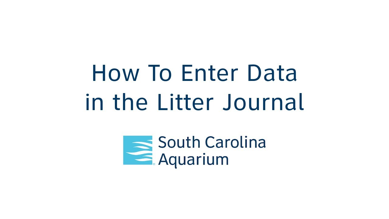 Litter Journal Tutorial - YouTube