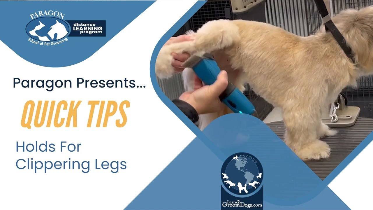 Quick Tips: Holds for Clippering Legs - YouTube