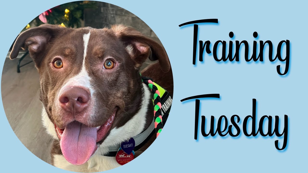 Training Tuesday at Lowe’s - YouTube