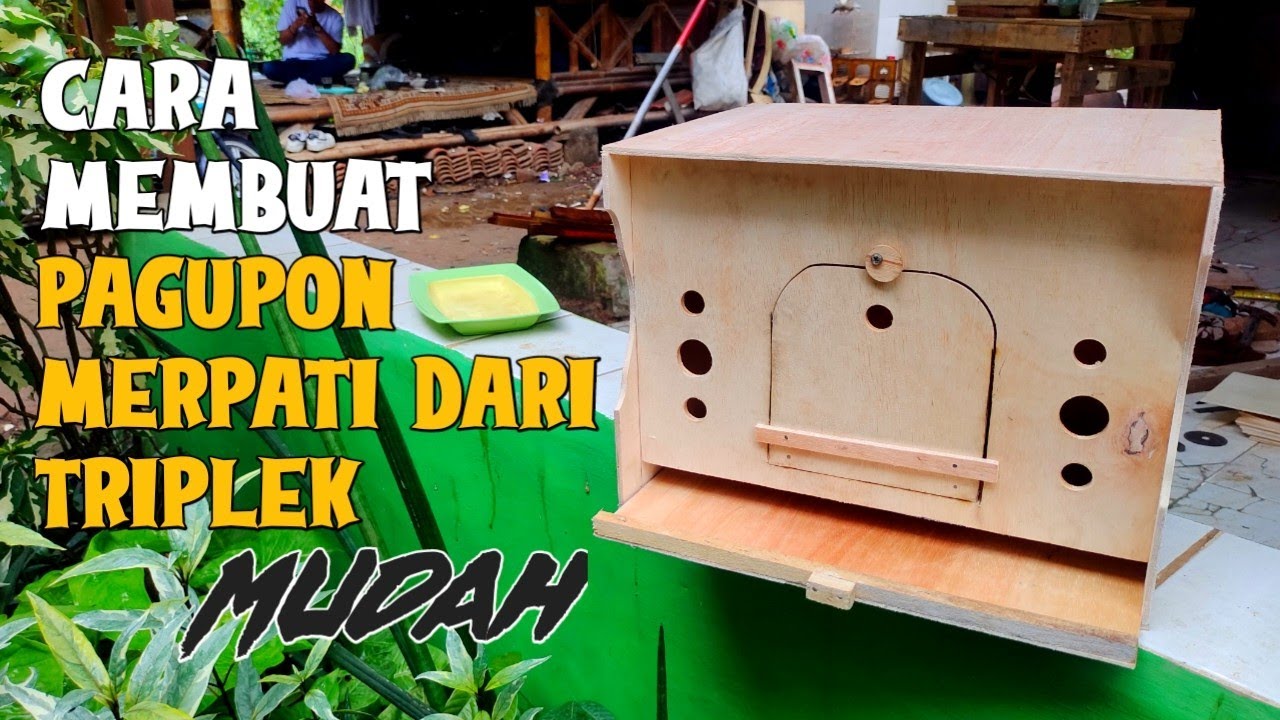 Cara Membuat Gupon Merpati dari triplek - Kandang Merpati/burung dara - YouTube