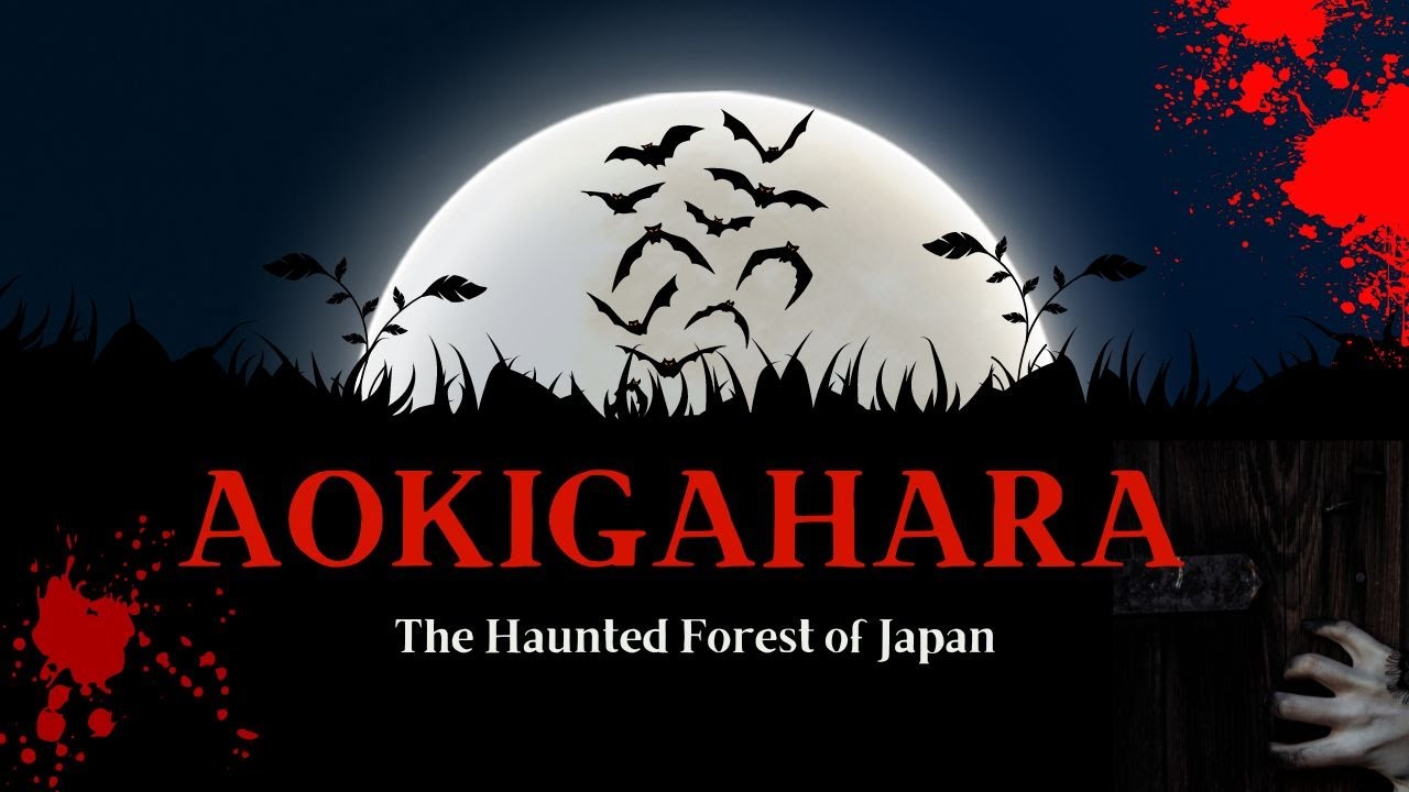 Exploring Aokigahara Forest: The Haunted Forest of Japan - YouTube