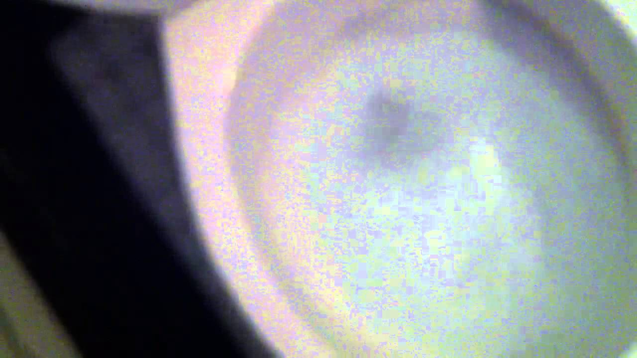 Universal rundle atlas toilet - YouTube