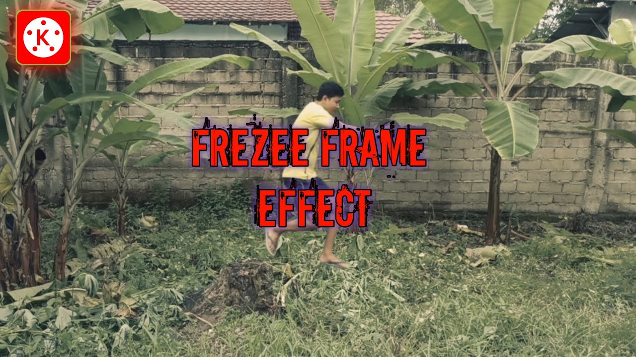 Frezee Frame Effect - YouTube