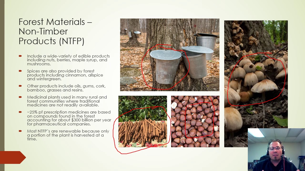 Principles of Sustainability Chapter 7: Forest and Mineral Resources ...