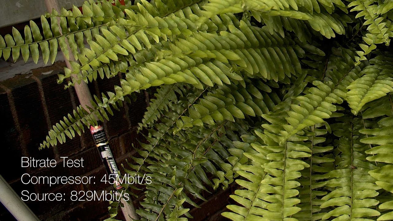 Bitrate Test 45Mbit/s - YouTube