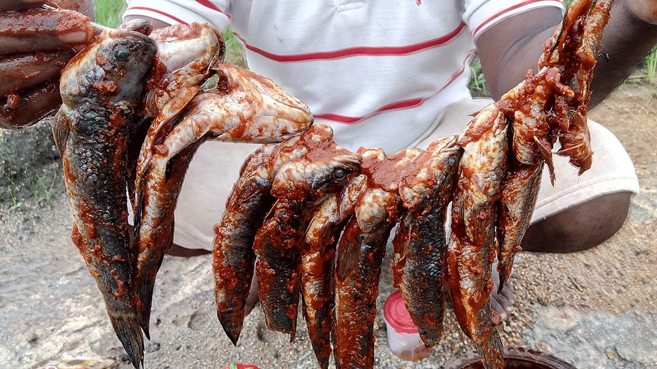 Village Style Fish Curry Recipes | Spicy Fish Fry Recipe Filleted Style ...