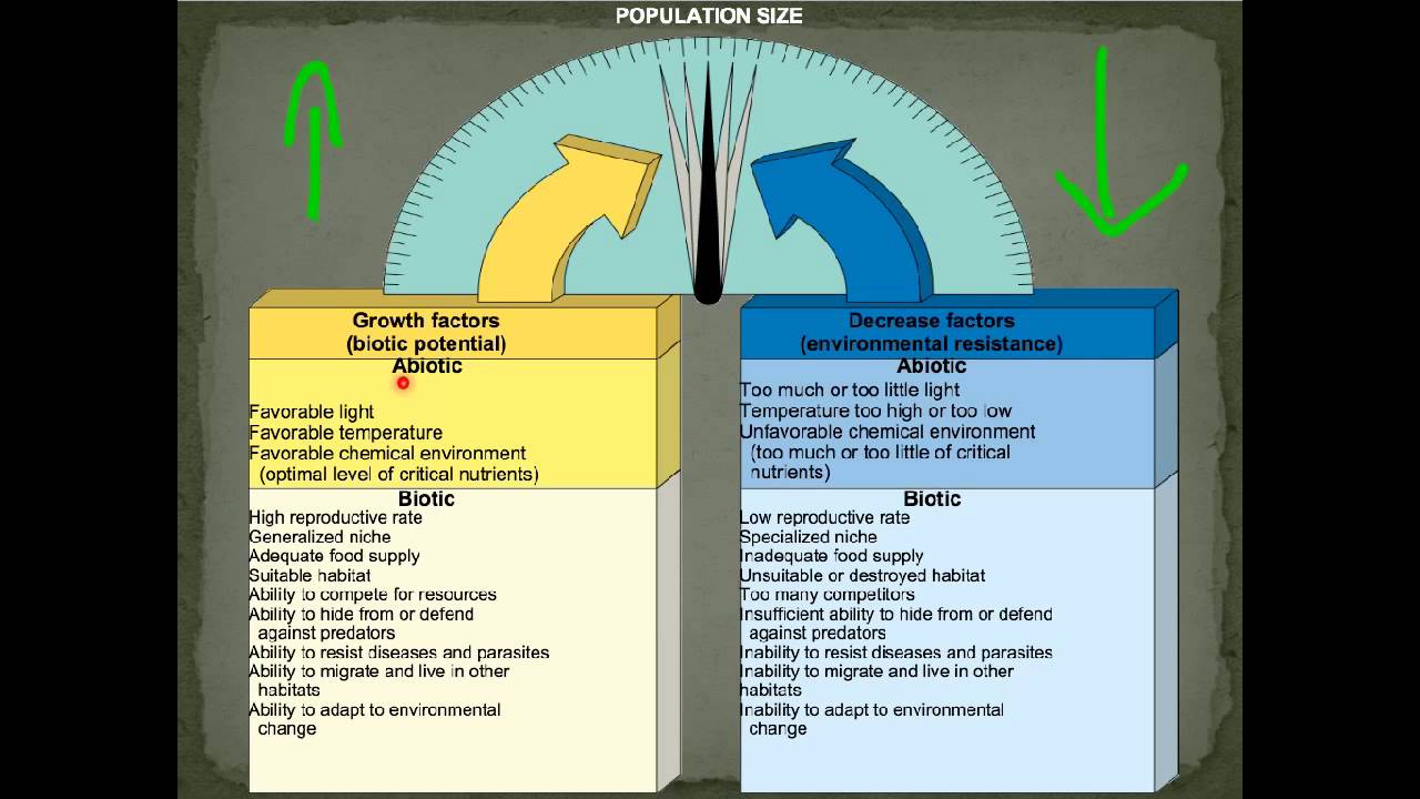 APES CH 8 A.mov - YouTube