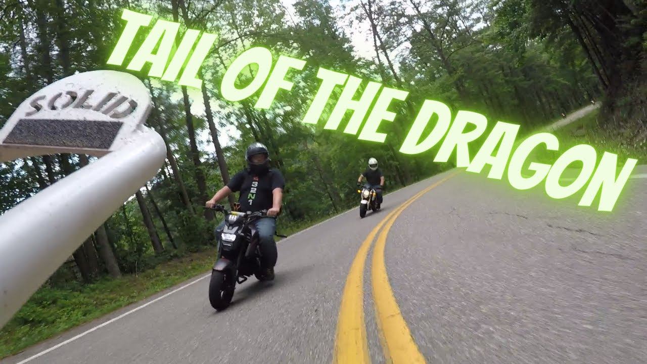Down the Tail of the Dragon an Honda Grom | Smoky Mountain Small Bore ...