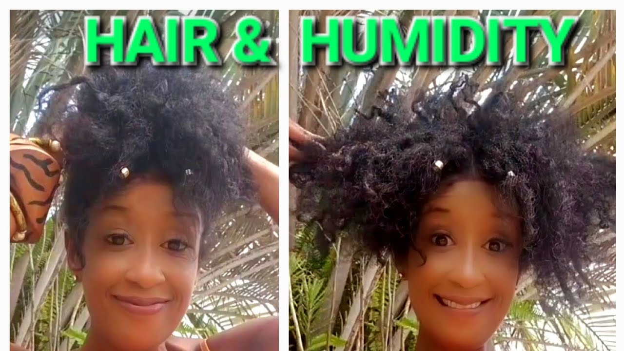 ♨️ EXTREME HEAT! HOTTEST YEAR EVER! 10-DAY FORECAST 🌎 HAIR + HUMIDITY ...