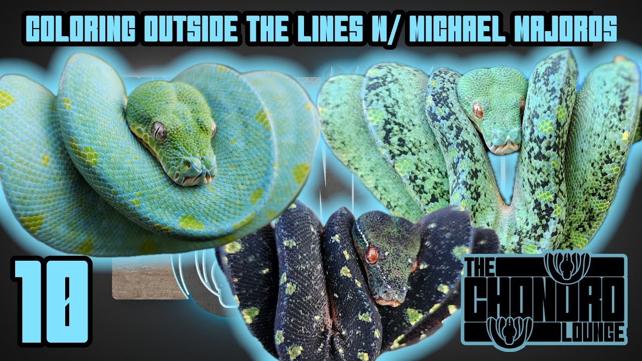 BREEDING EPIC CHONDROS | w/Michael Majoros of Coloring Outside The ...