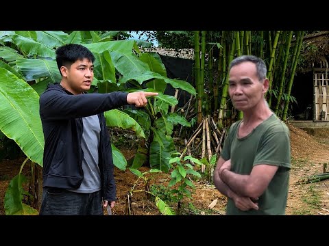 Father sneaks into his son's house for food; Hà mistakes him for a thief and nearly attacks him.