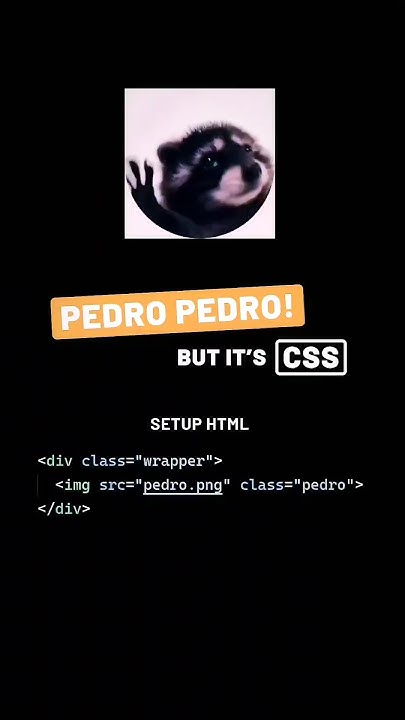 Pedro Pedro But Its Css🧑‍💻😁 Coding Programming Js Javascript Cssanimation Csstricks