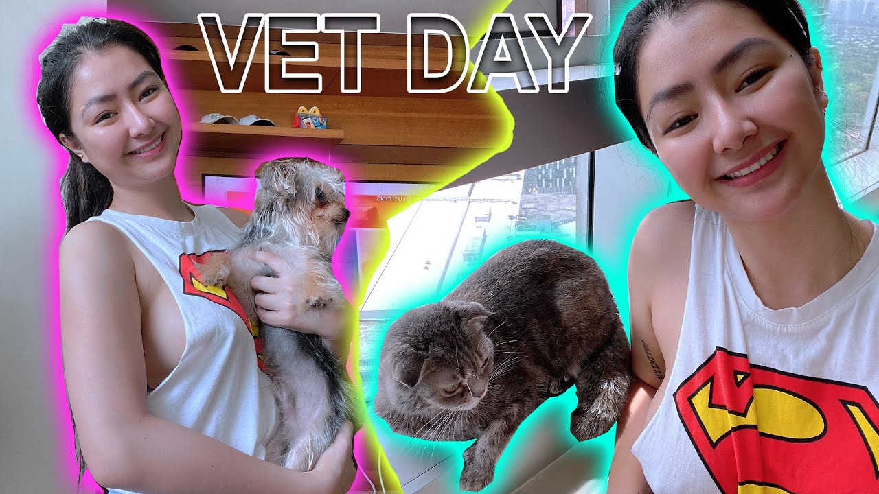 MY MORNING ROUTINE & VET DAY OF MY BABIES | ROB GUINTO - YouTube