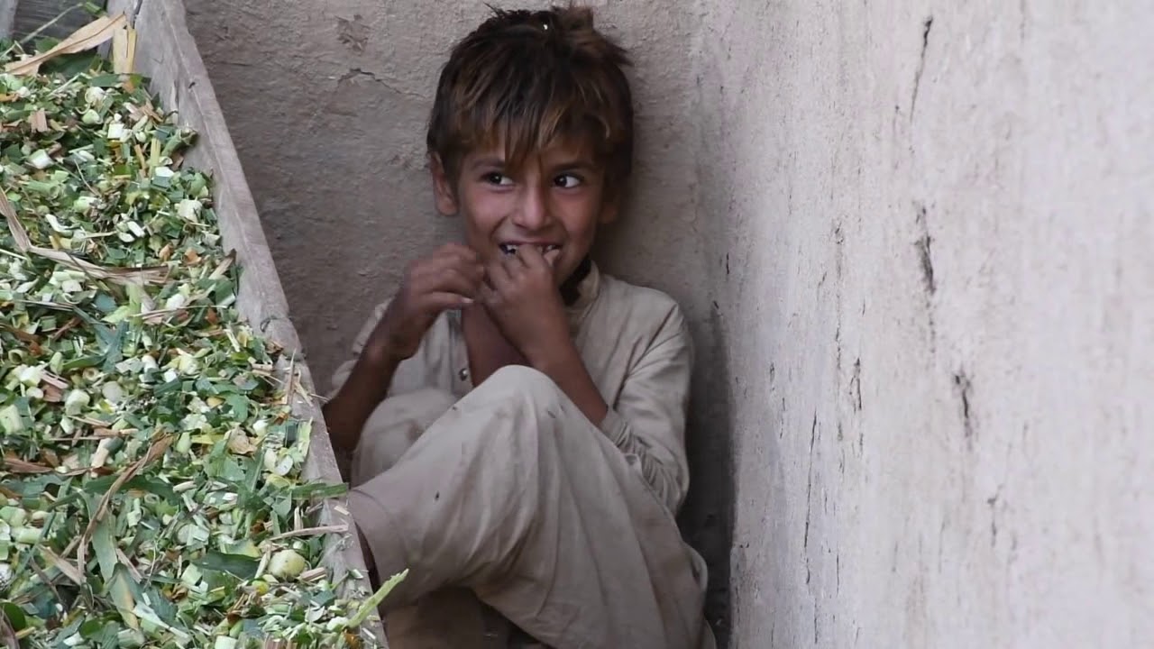 Poorest family of Pakistan | Let's break the cycle of poverty - YouTube